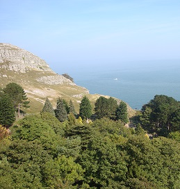 Turmoil and Tranquility (poem) | Jenny Maryl